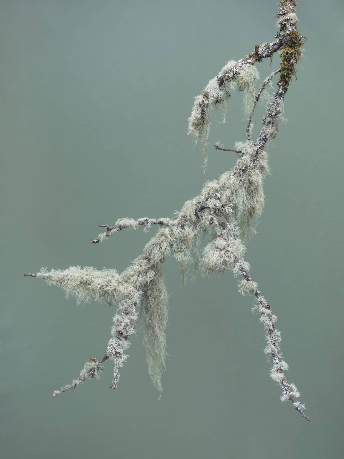 Artsource Blog | Artsource Consulting