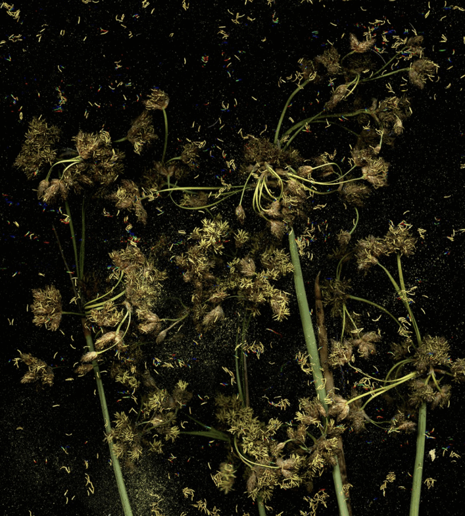 To Do List: October - Artsource Consulting